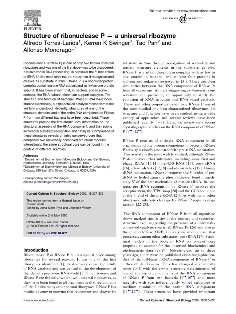 Structure of Ribonuclease P - A Universal Ribozyme | PDF | Biomolecular ...