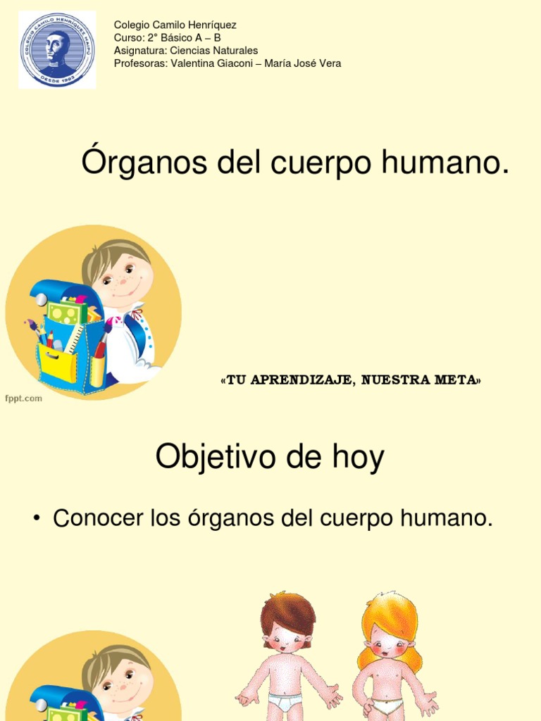 Órganos del Cuerpo Humano para 2° Básico | PDF | Filosofía