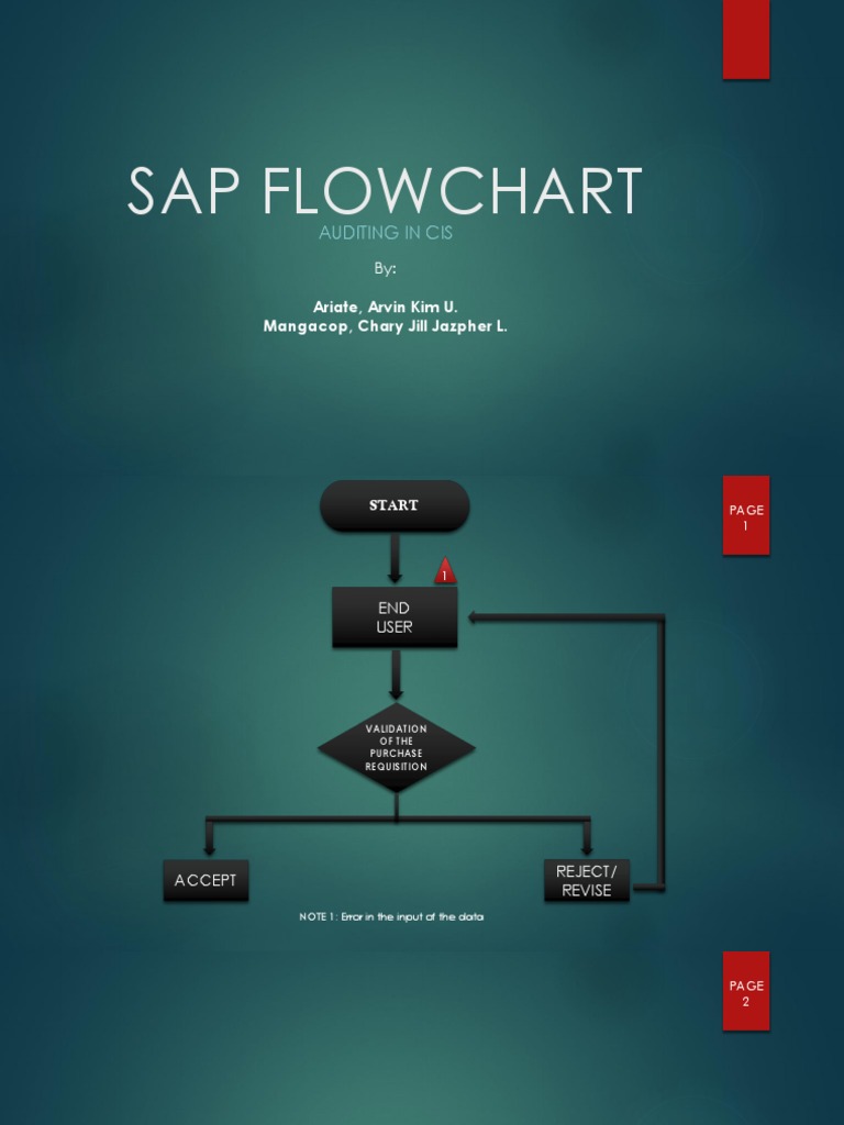 Sap Flowchart: Auditing in Cis | PDF