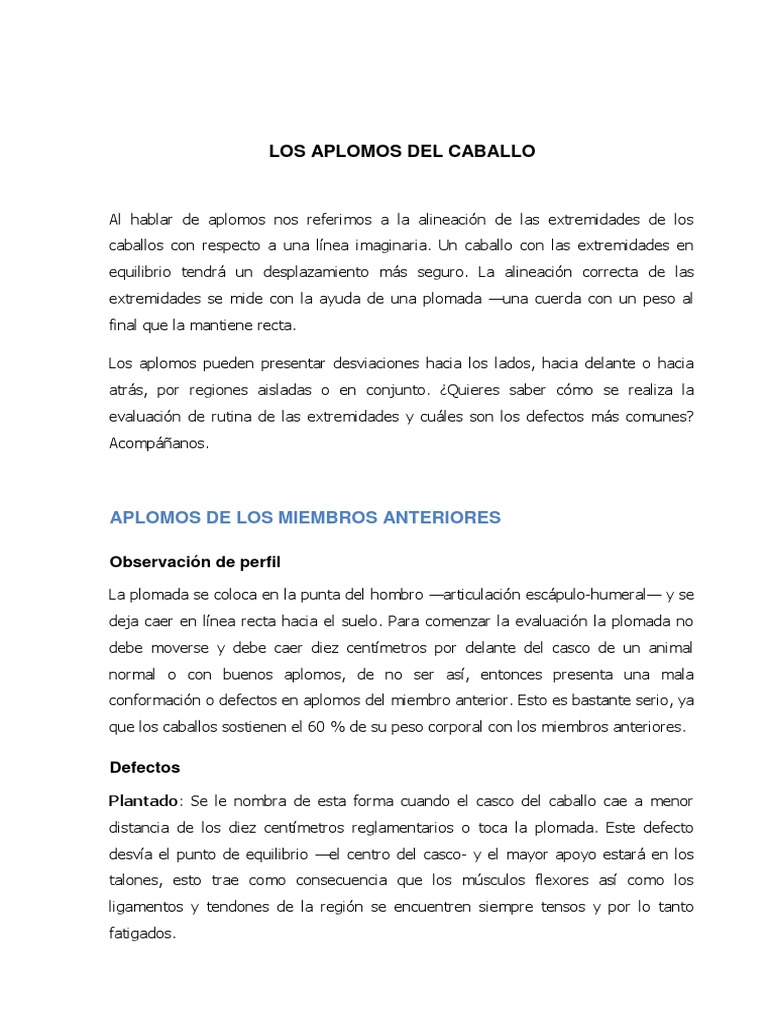 Losaplomosdelcaballo | PDF | Rodilla | Caballos