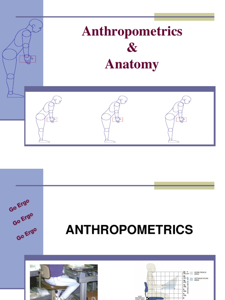 Anthropometrics Anatomy | PDF | Anthropometry | Hand