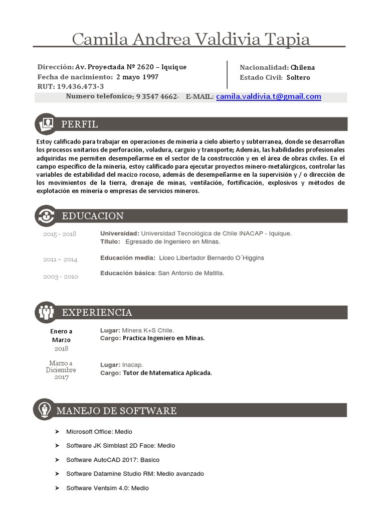CV Camila Valdivia | PDF