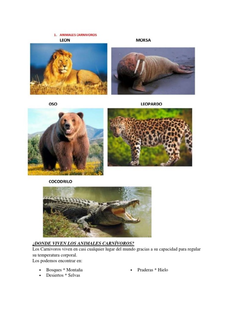 Donde Viven Los Animales Carnívoros | PDF
