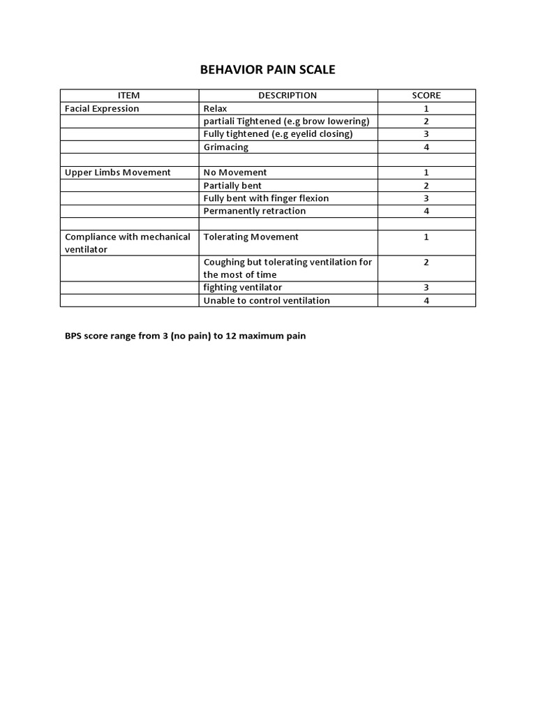 Behavior Pain Scale Assessment Guide | PDF