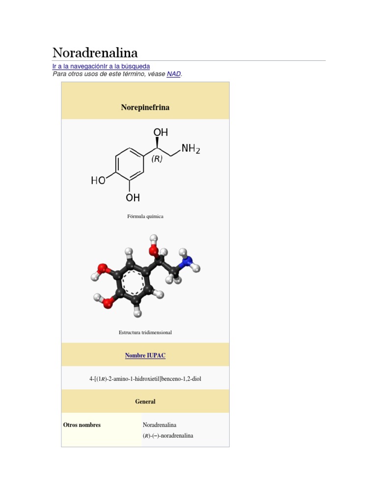 Noradrenalina: Funciones y Mecanismos | PDF | Norepinefrina ...