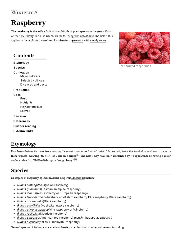 Raspberry: Etymology Species Cultivation | PDF | Raspberry | Fruit