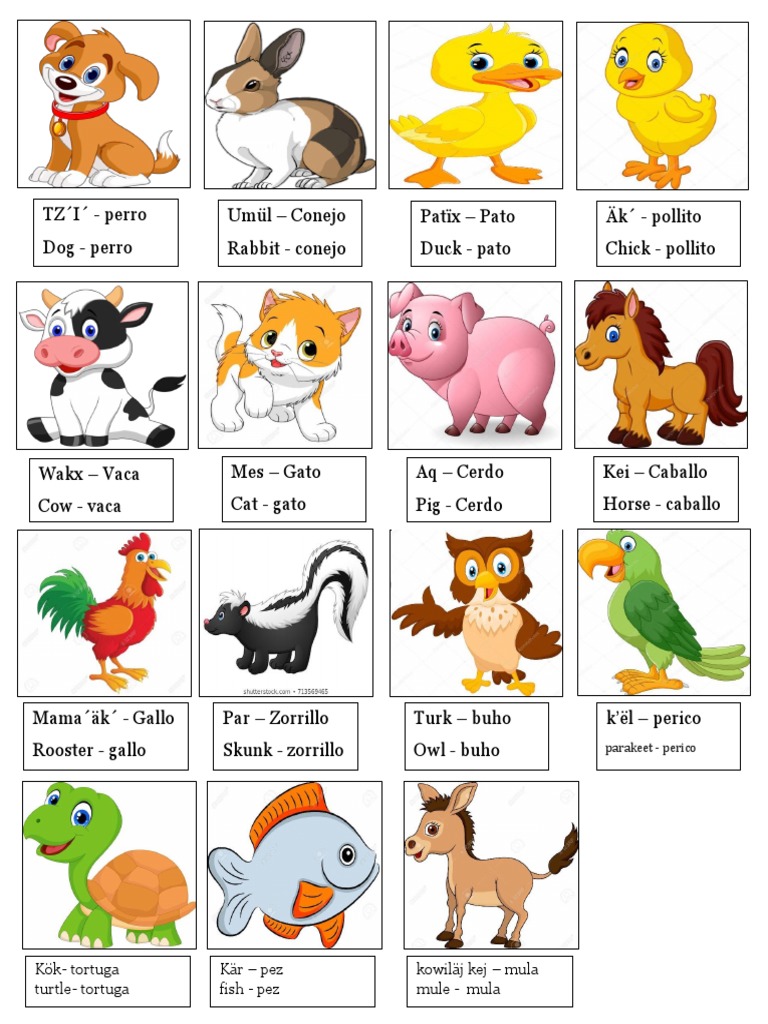 animales en ingles y español.docx | Animales domesticados | Organismos