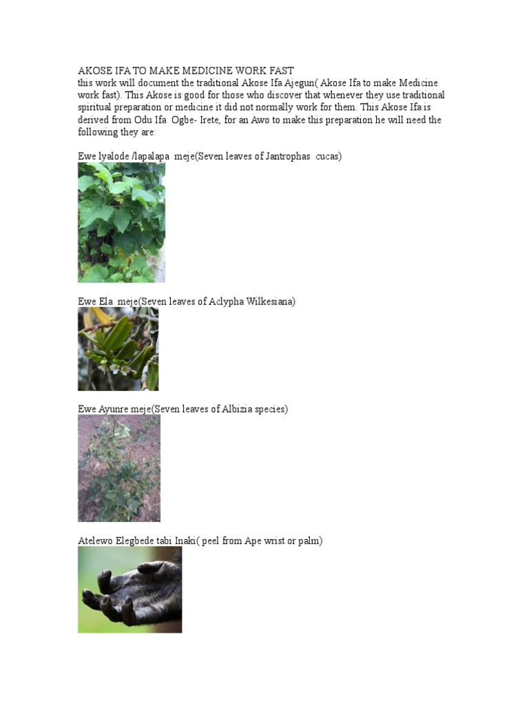 Akose Ifa To Make Medicine Work Fast | PDF | Santería | Nature