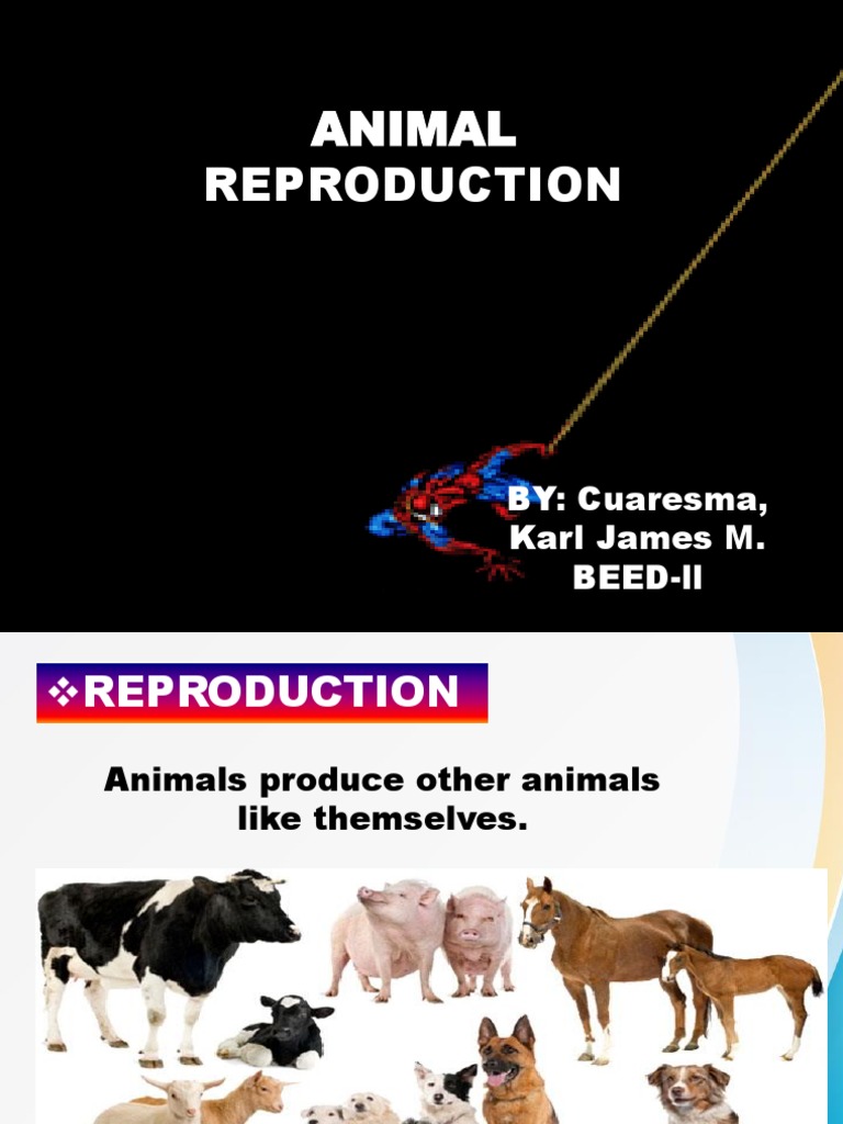 Animal Reproduction (Science 5) | PDF