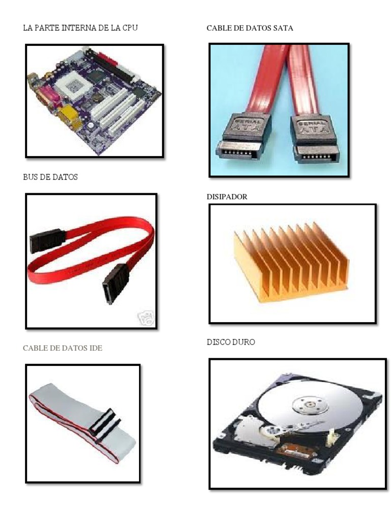 La Parte Interna de La Cpu | PDF