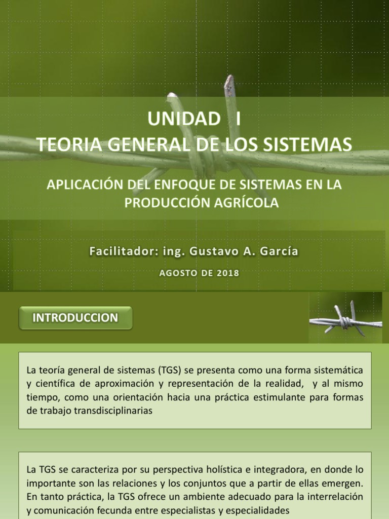 Teoria General de Los Sistemas | PDF | Teoría de sistemas | Sistema