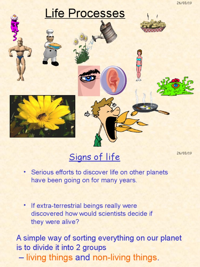 7 Life Processes Unit 1 | PDF | Cellular Respiration | Senses