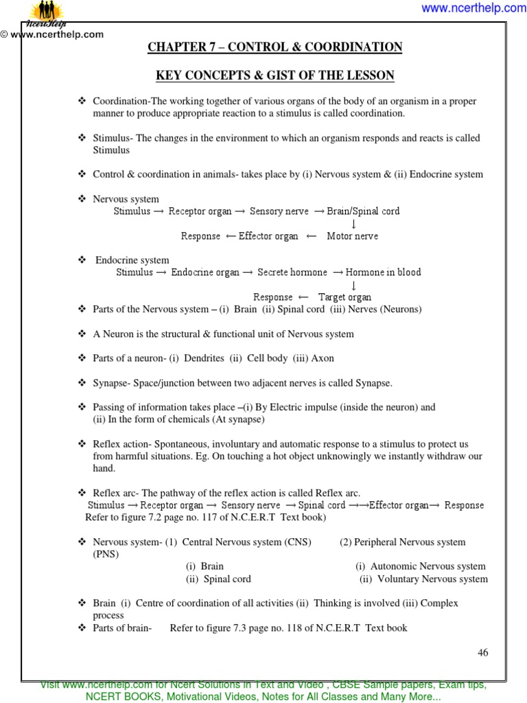 Class10 Science Notes Chapter7 PDF | PDF | Stimulus (Physiology ...