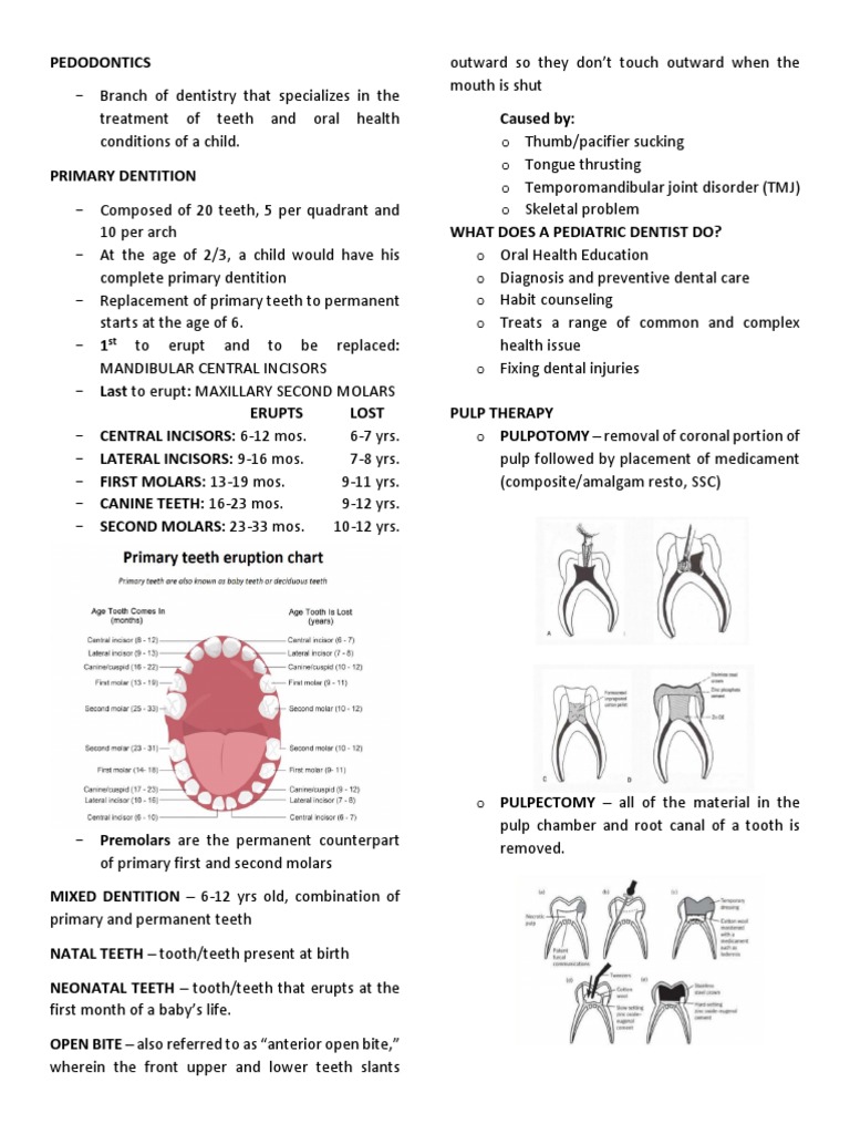 Pedodontics PDF | PDF | Human Tooth | Tooth
