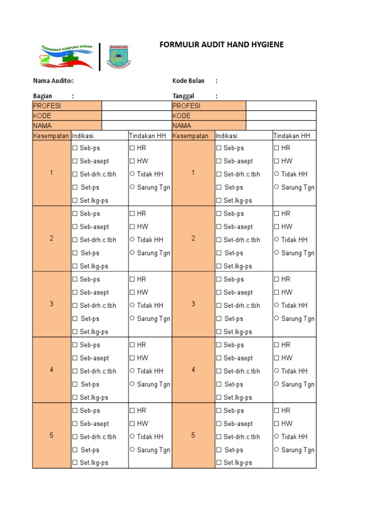 Formulir Audit HAND HYGIENE | PDF