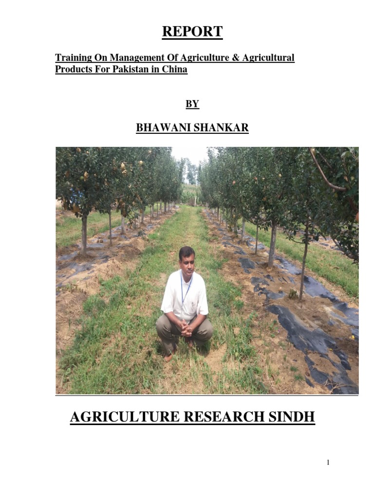 China Report 2017 Final | PDF | Mountains | Agriculture