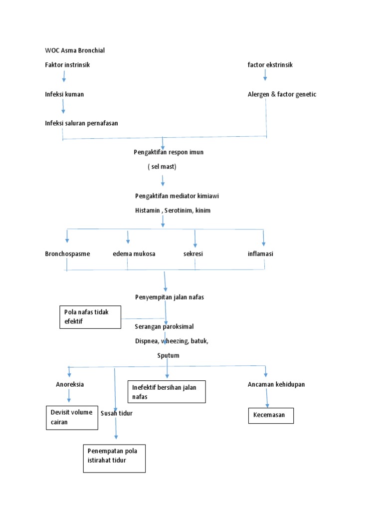 Woc Asma Bronchial Pdf