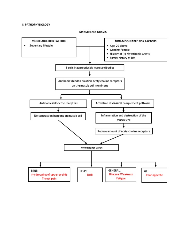 Ii. Pathophysiology Myasthenia Gravis Modifiable Risk Factors Non ...