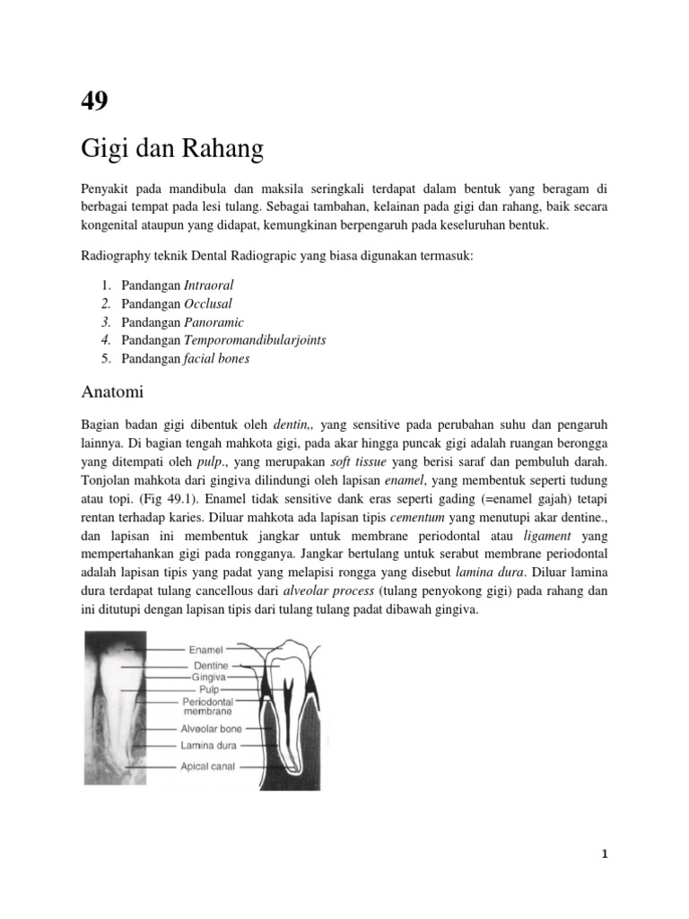 Gigi Dan Rahang (Text Book Translation) | PDF