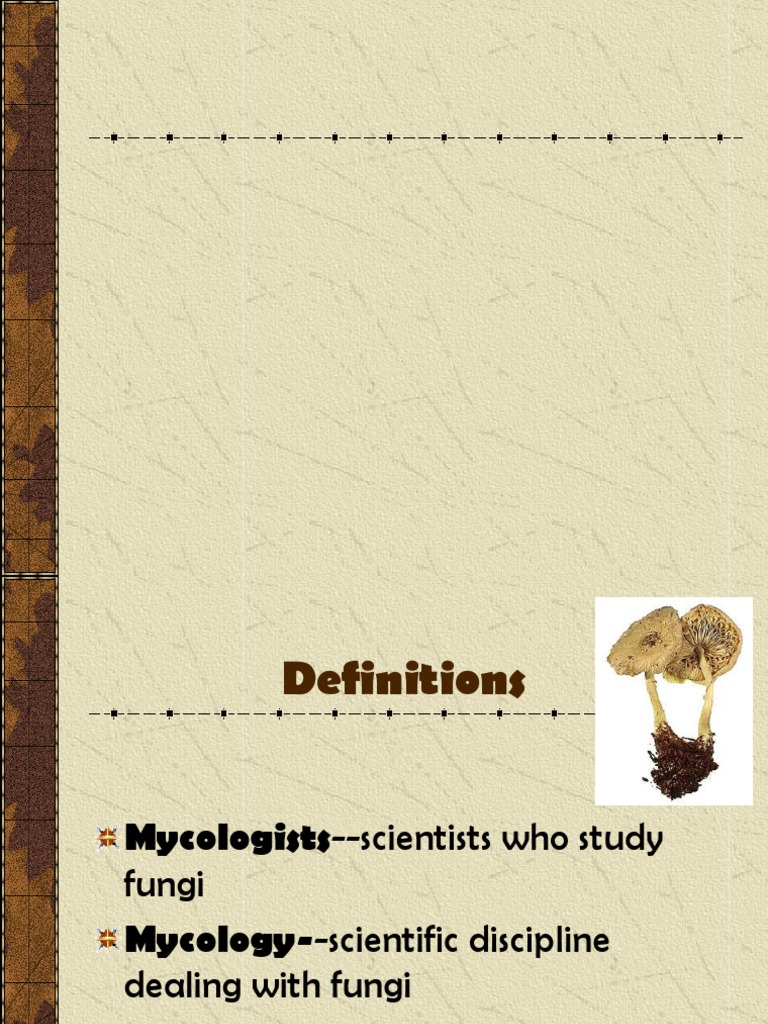 LESSON 5 Kingdom Mycota | PDF | Fungus | Eukaryotes