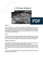 Average Weight of American Alligators | PDF | Pound (Mass) | Crocodile
