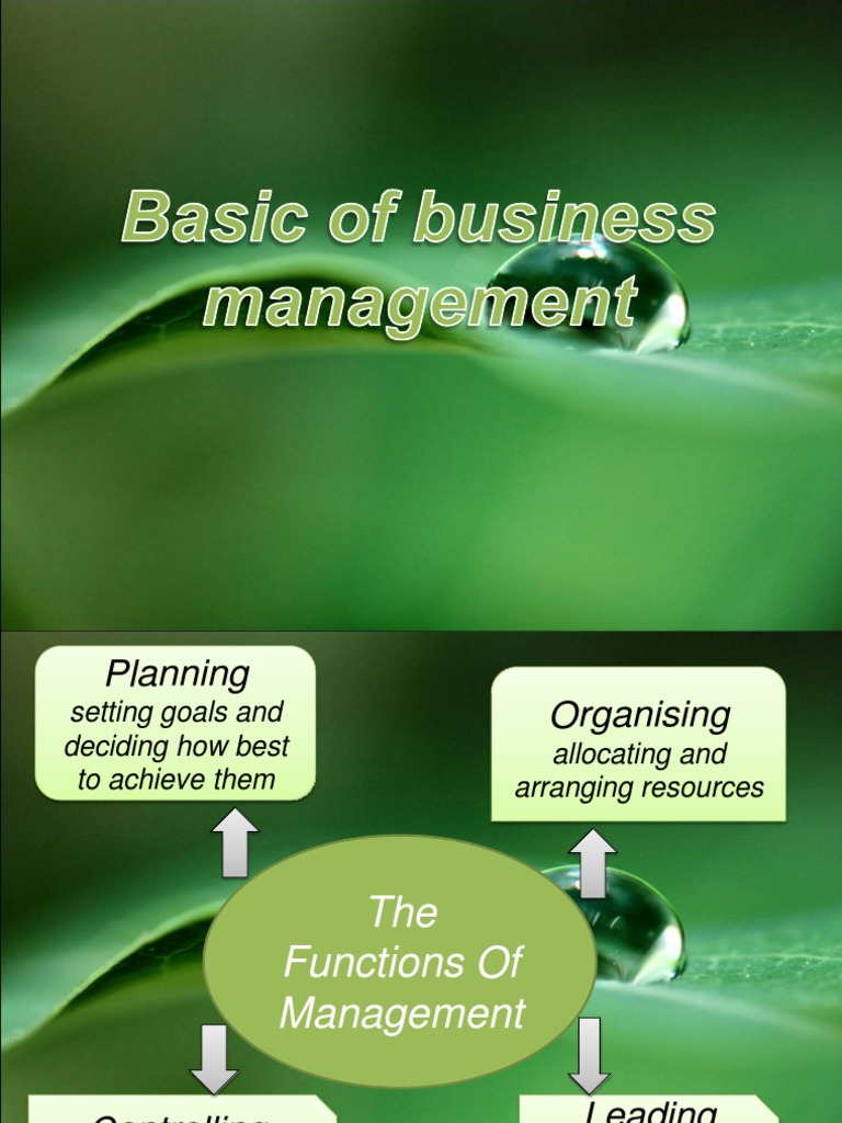 Basics of Business Management Functions | PDF | Goal | Strategic Planning