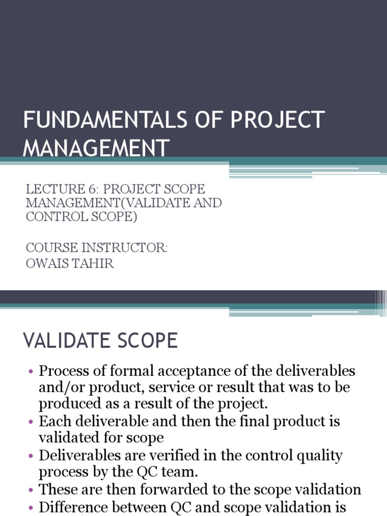 Fundamentals of Project Management | PDF