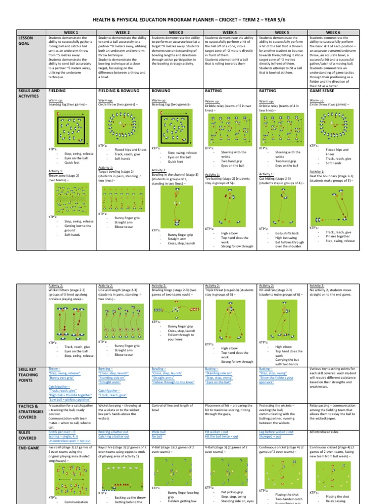 Cricket Matrix | PDF | Bowling (Cricket) | Teams
