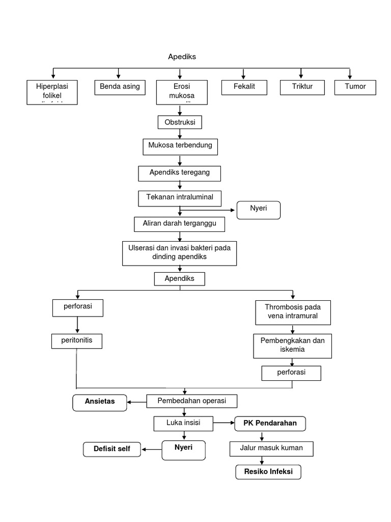 Pathway Apendis | PDF
