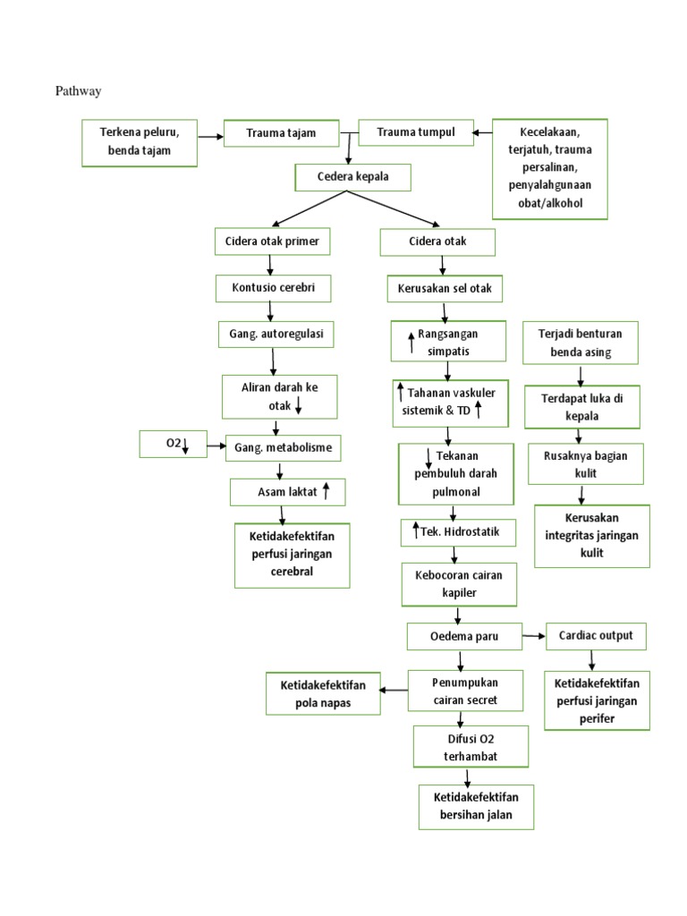 Pathway Trauma Kepala | PDF
