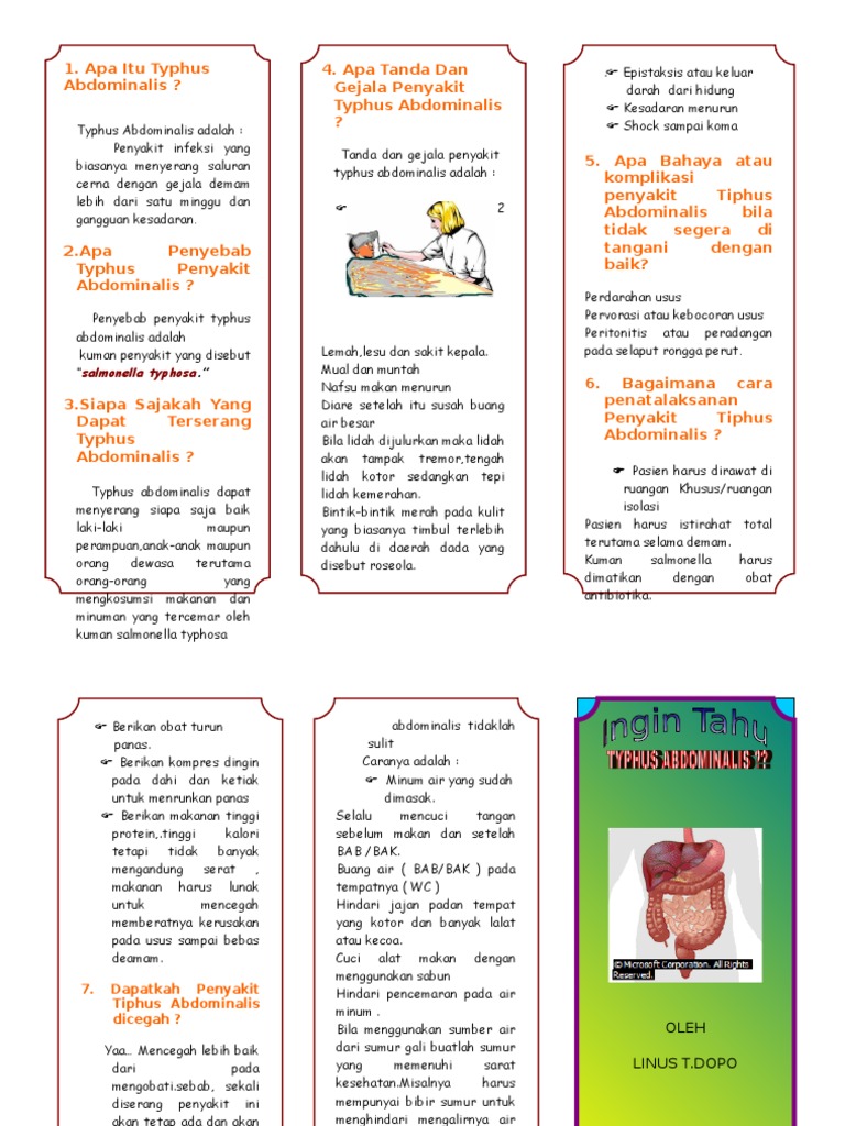Leaflet Typhus Abdominalis | PDF
