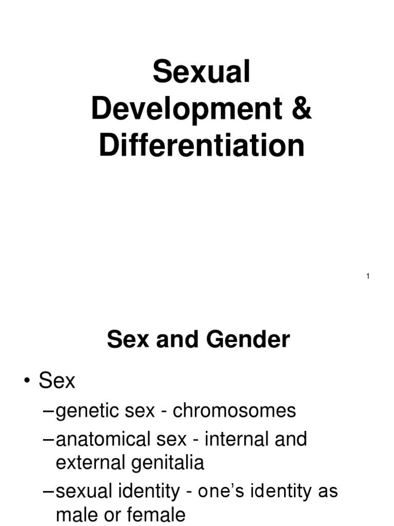 1 5 2 3 Diferensiasi Sex Pdf Sex Organ Sex