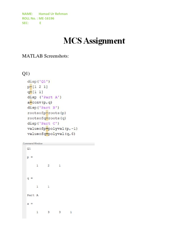 MCS MATLAB Assignment | PDF