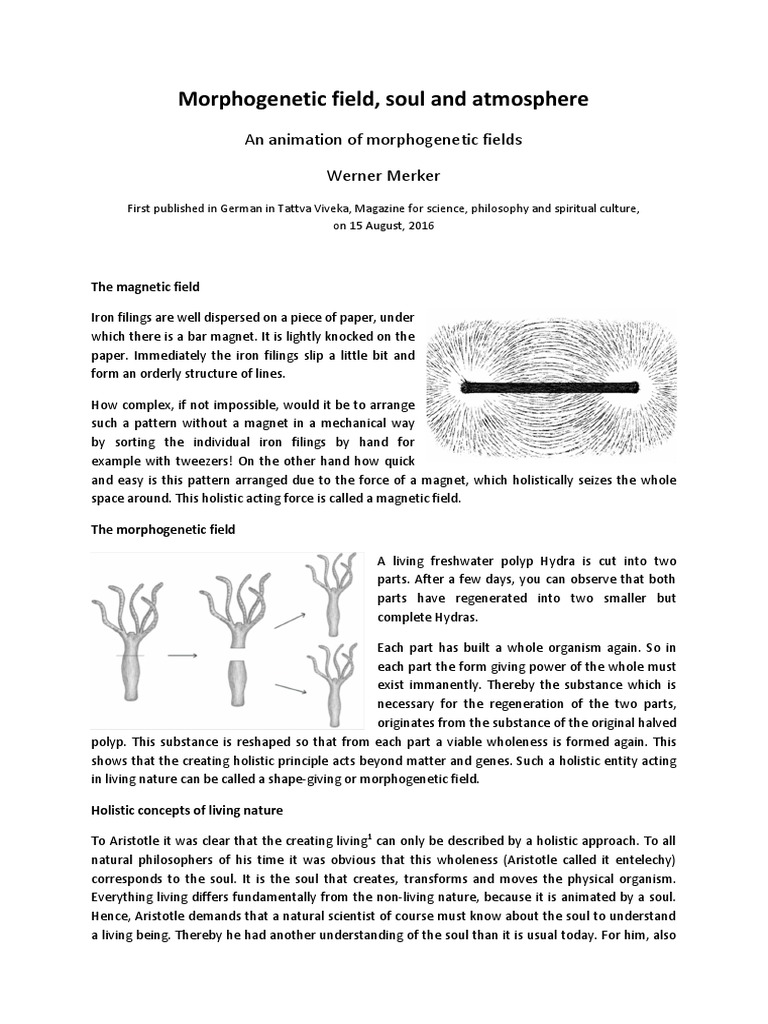 Morphogenetic Field | PDF | Rupert Sheldrake | Soul