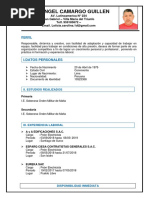 Curriculum Vitae Jaime | PDF