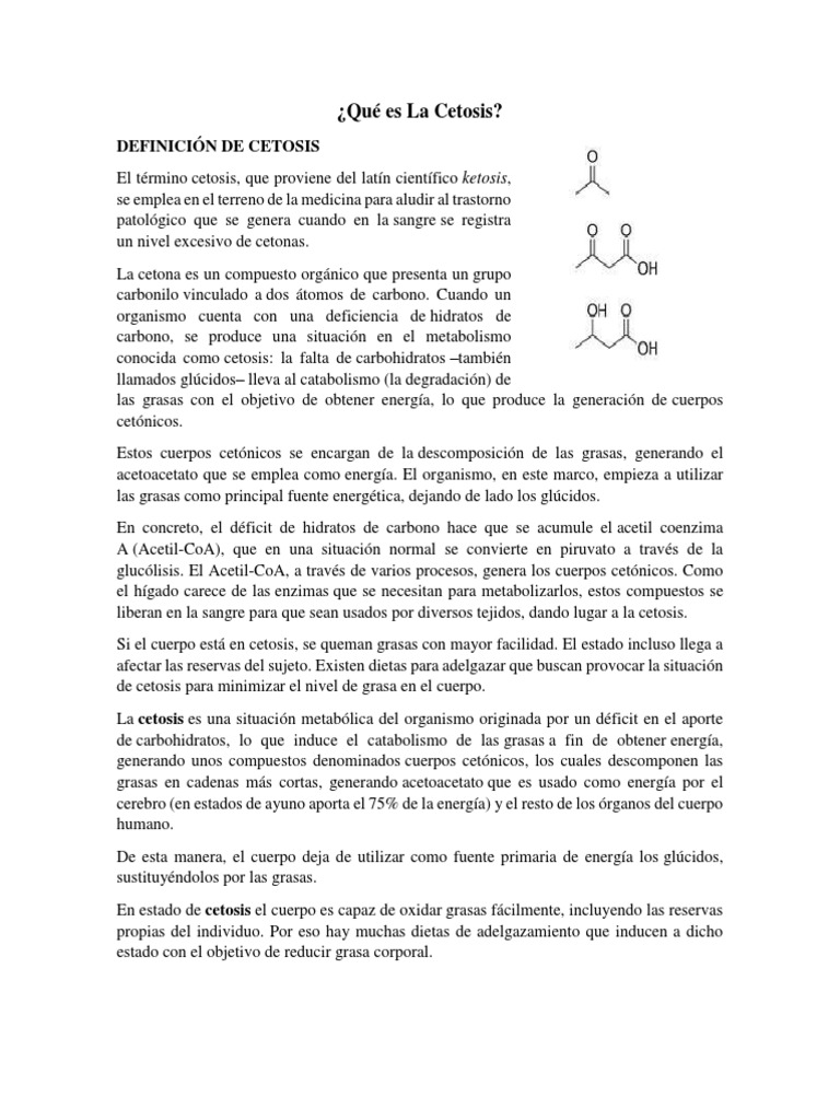 Qué Es La Cetosis | PDF | Cetosis | Metabolismo