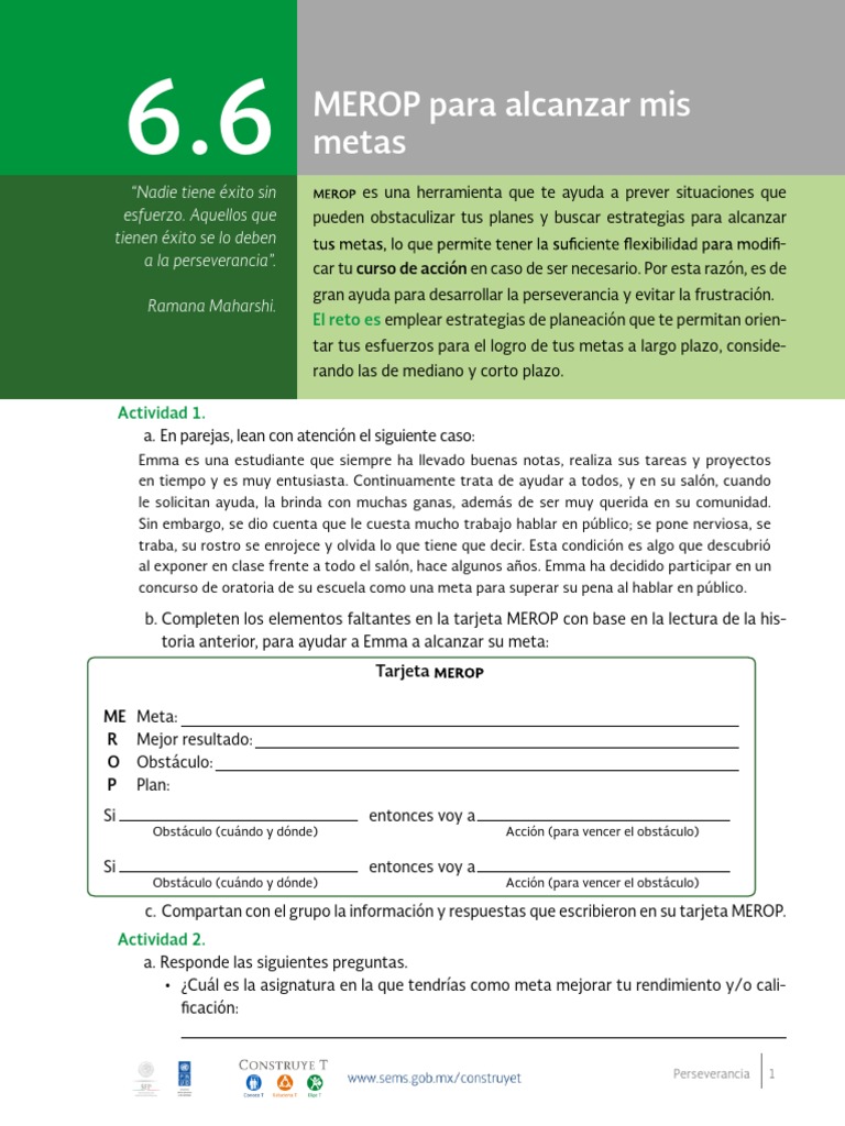 6.6 E MEROP para Alcanzar Mis Metas PDF | PDF | Planificación
