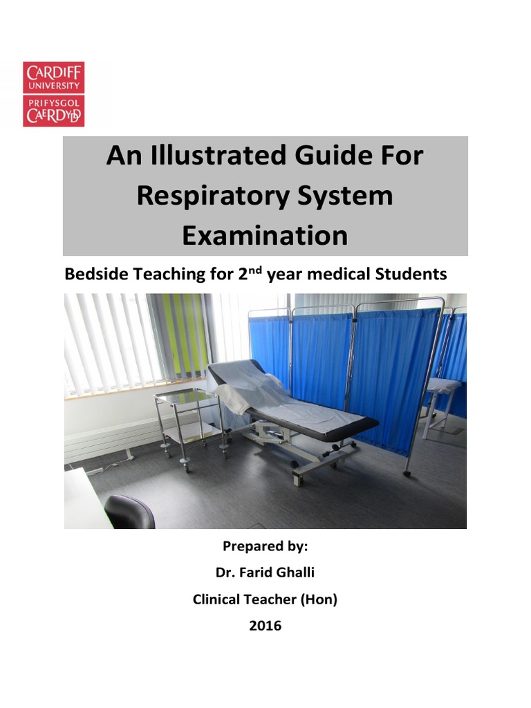 Respiratory Examination Pdf Thorax Respiratory System
