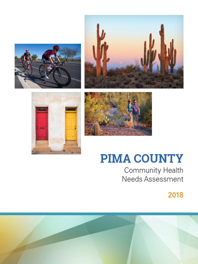 Chna Book 2018 Final | PDF | Public Health | Needs Assessment