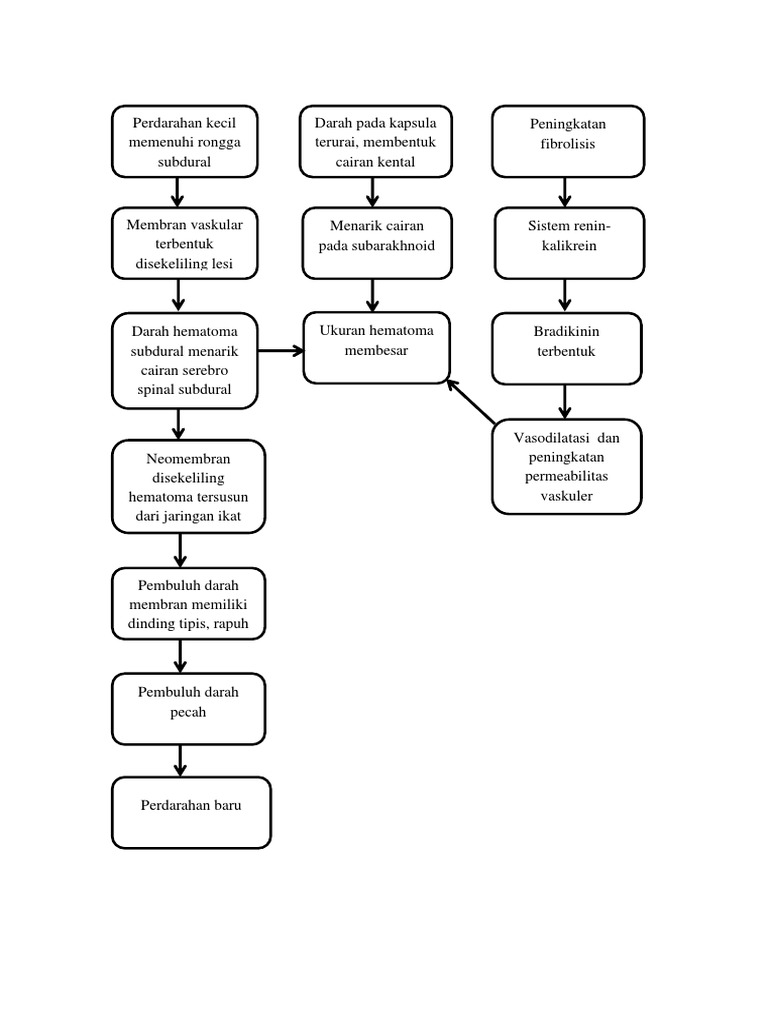 Pathway SDH Kronis | PDF