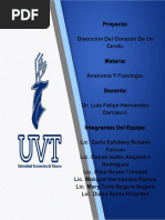 Disección de Corazón: Guía Práctica | PDF | Laboratorios | Anatomía