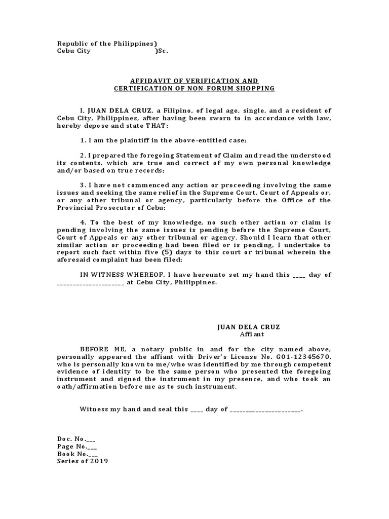 Affidavit Verification Small Claims | PDF