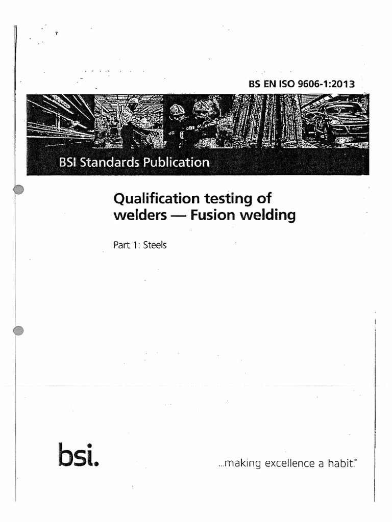 New Iso 9606 1 2013 PDF | PDF