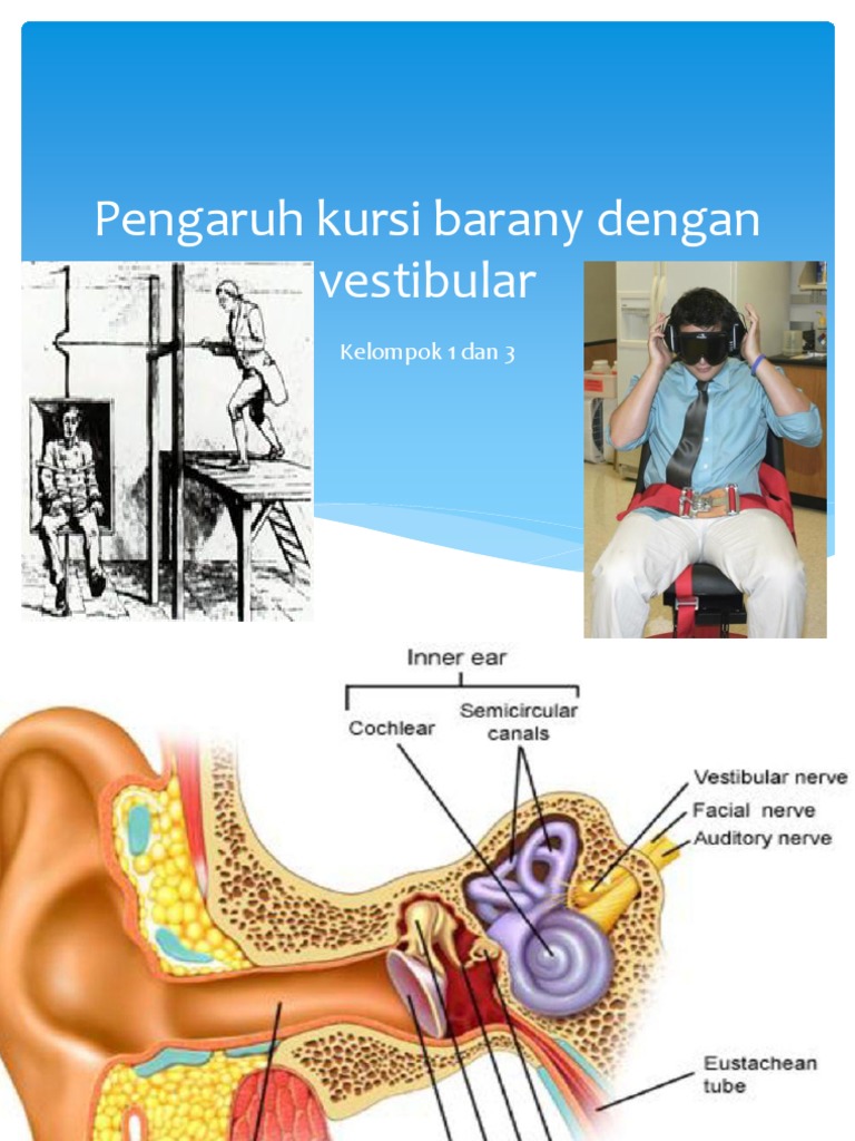 Pengaruh Kursi Barany | PDF