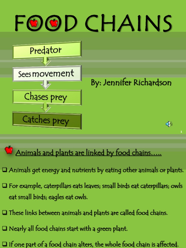 Predator And Prey Food Chain