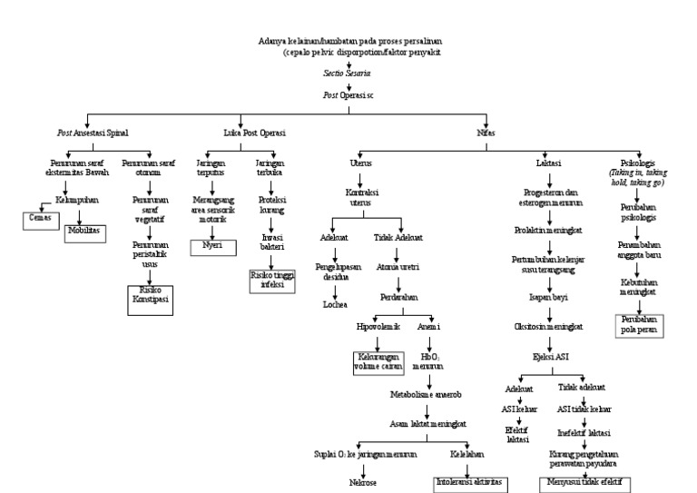 Pathway Post SC | PDF