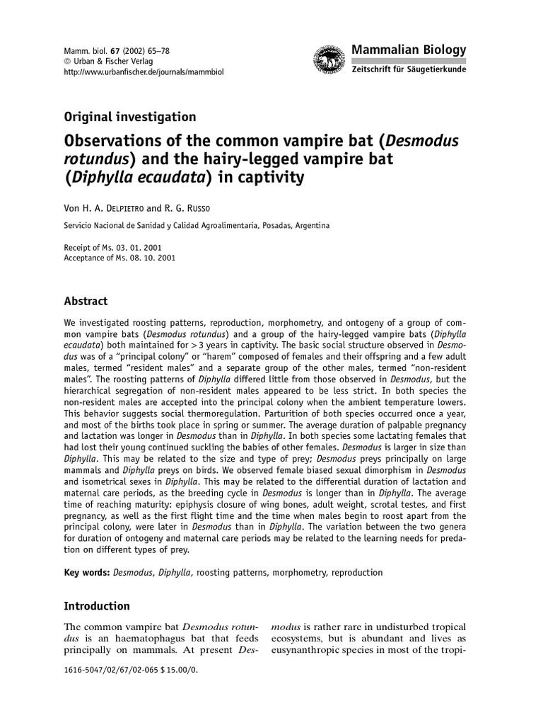 Observations of The Common Vampire Bat (Desmodus Rotundus) and The ...