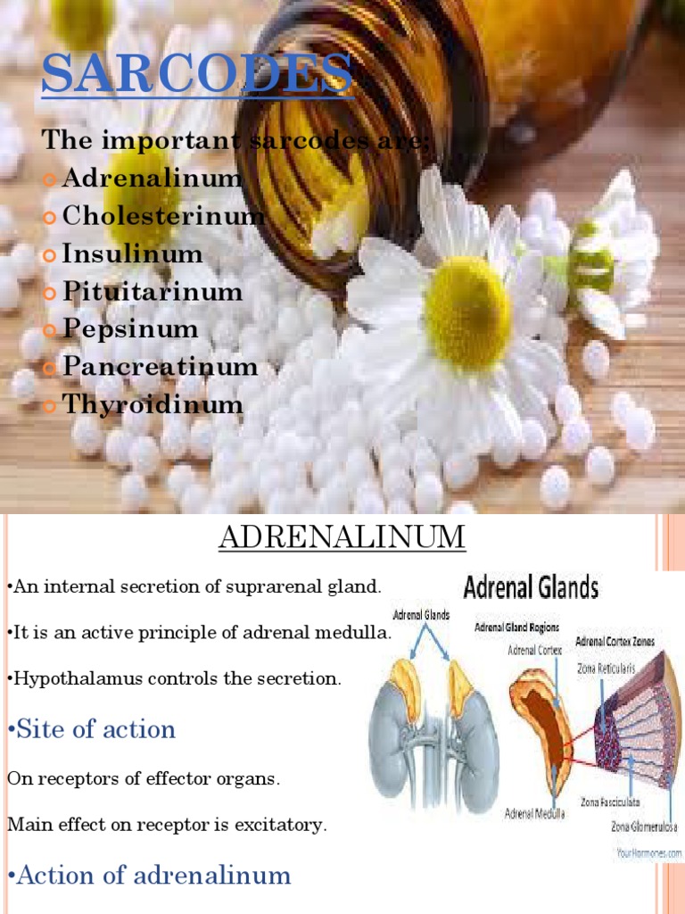 Sarcodes: The Important Sarcodes Are Adrenalinum Cholesterinum ...