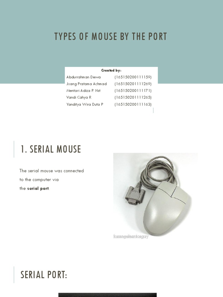 Types of Mouse by The Port | PDF | Games & Activities