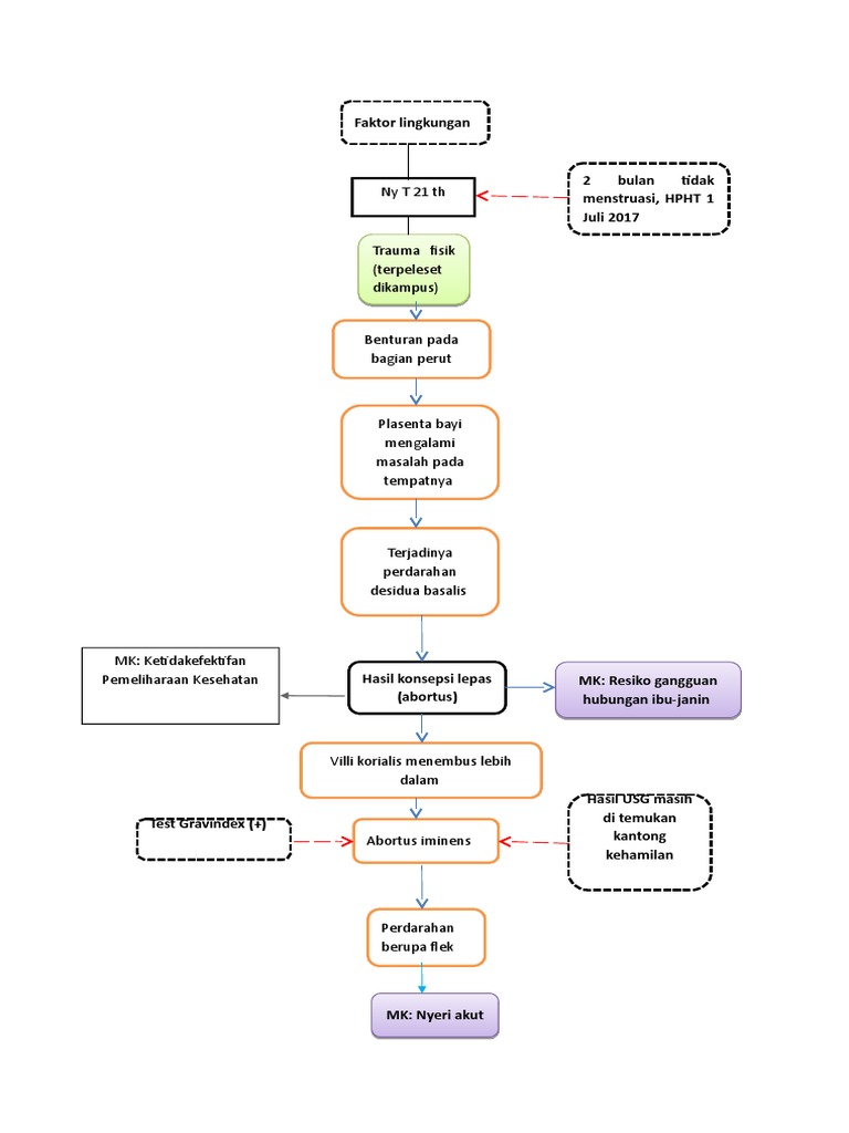 Pathway Khusus ABORSI Fix Revisi | PDF